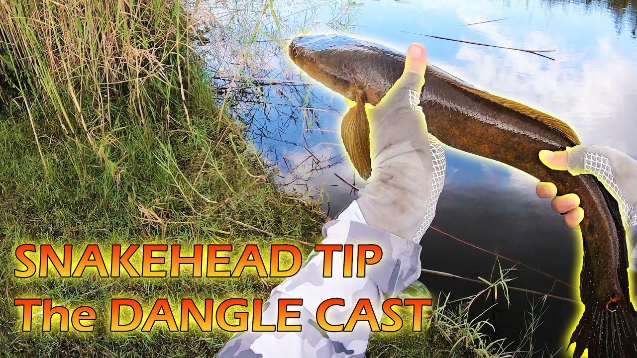 Snakehead TIP: The DANGLE CAST for Deep Cover Snakehead Fishing - YouTube