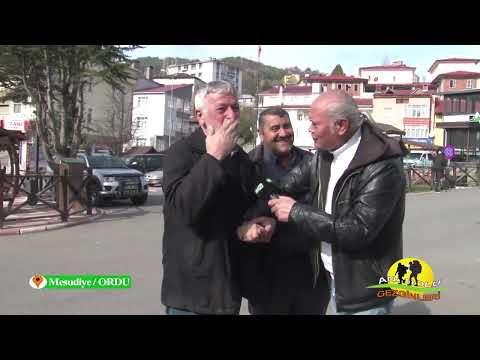 MESUDİYE 25 1 BÖL TEK PARÇA