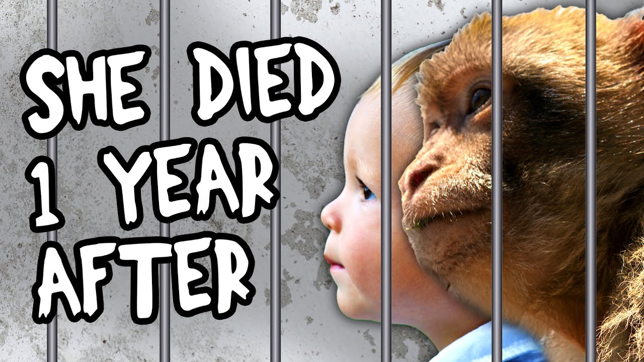 The Most DISTURBING Human Experiment - YouTube