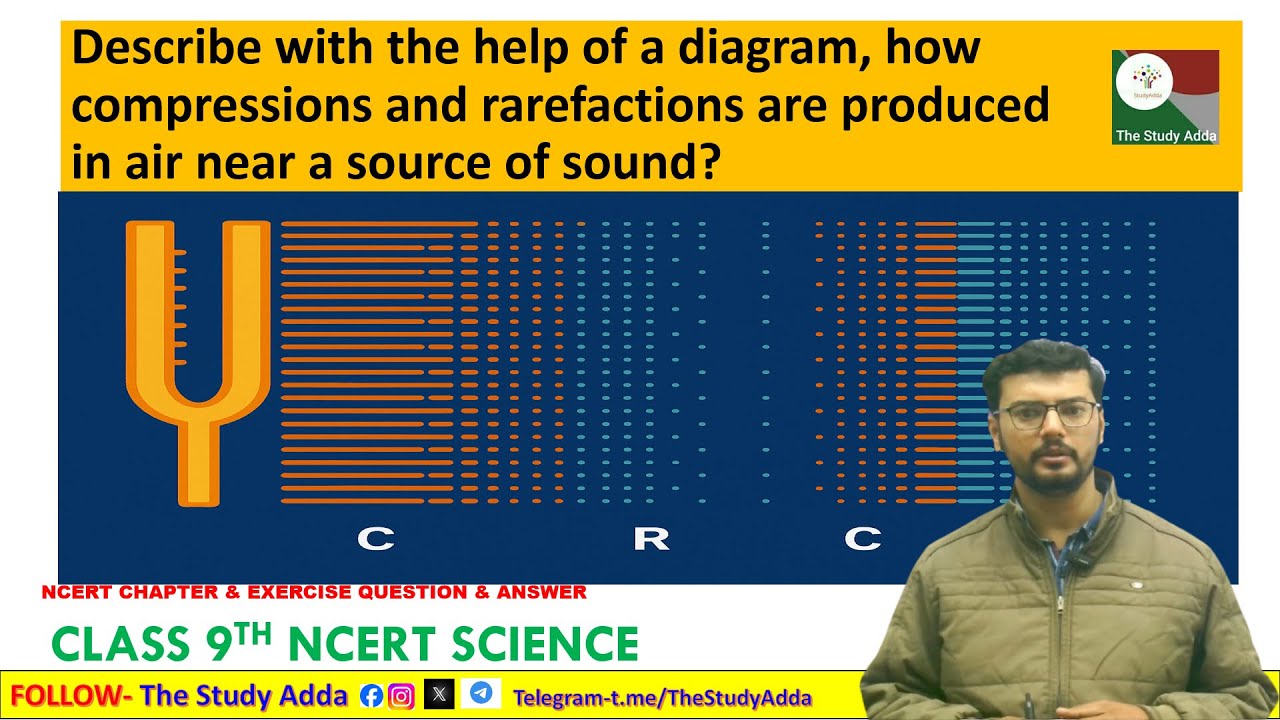 2 Describe With The Help Of A Diagram How Compressions And 2-describe-with-the-help-of-a-diagram-how-compressions-and