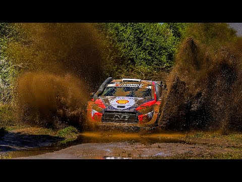 Best of WRC | One Hour of Crashes, Action and Raw Sound