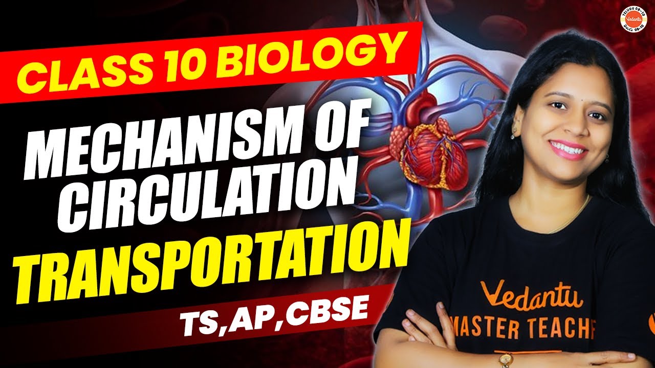 Mechanism of Circulation | Transportation | Class 10 | TS,AP,CBSE | SSC ...