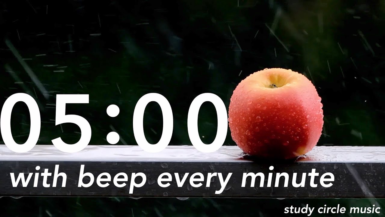 5 Minute Timer with buzzer every Minute - YouTube