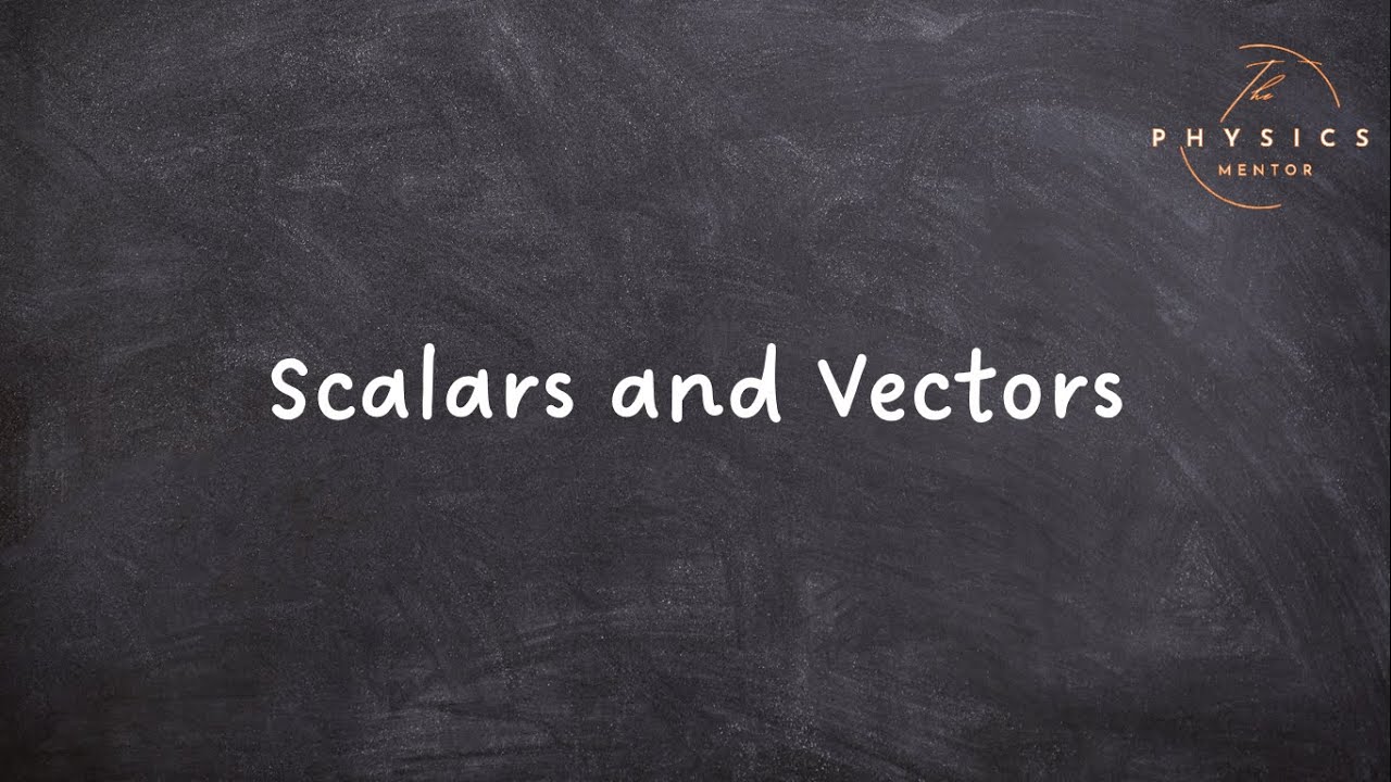 10. Introduction to Physics: Scalars and Vectors - YouTube