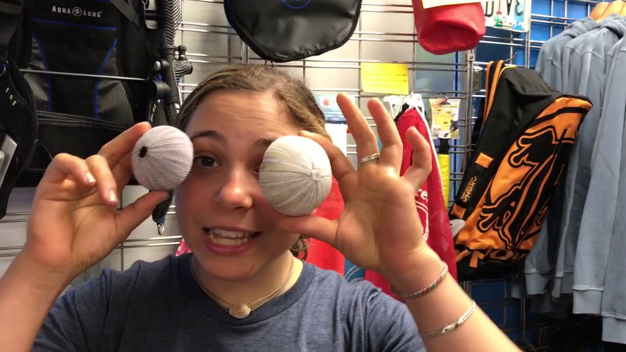 Eye Migration - YouTube