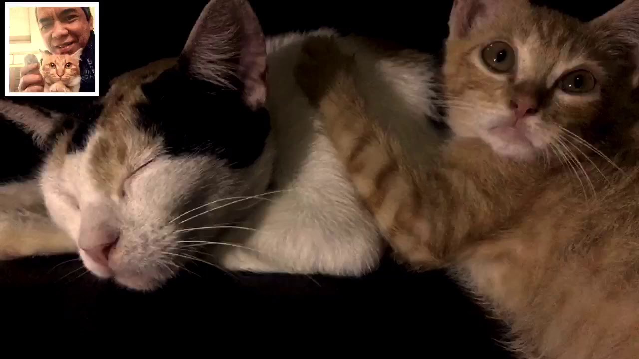 Mother And Son Youtube