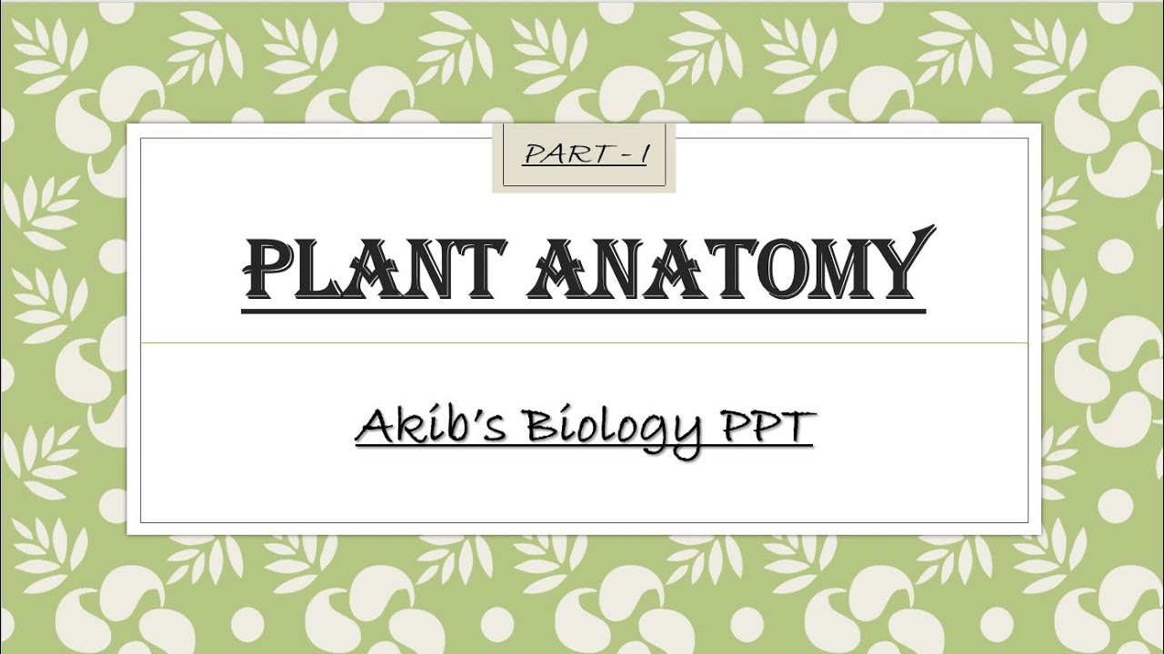 Plant Anatomy, Lecture / Part - 1 || Biology || Akib's Biology PPT ...