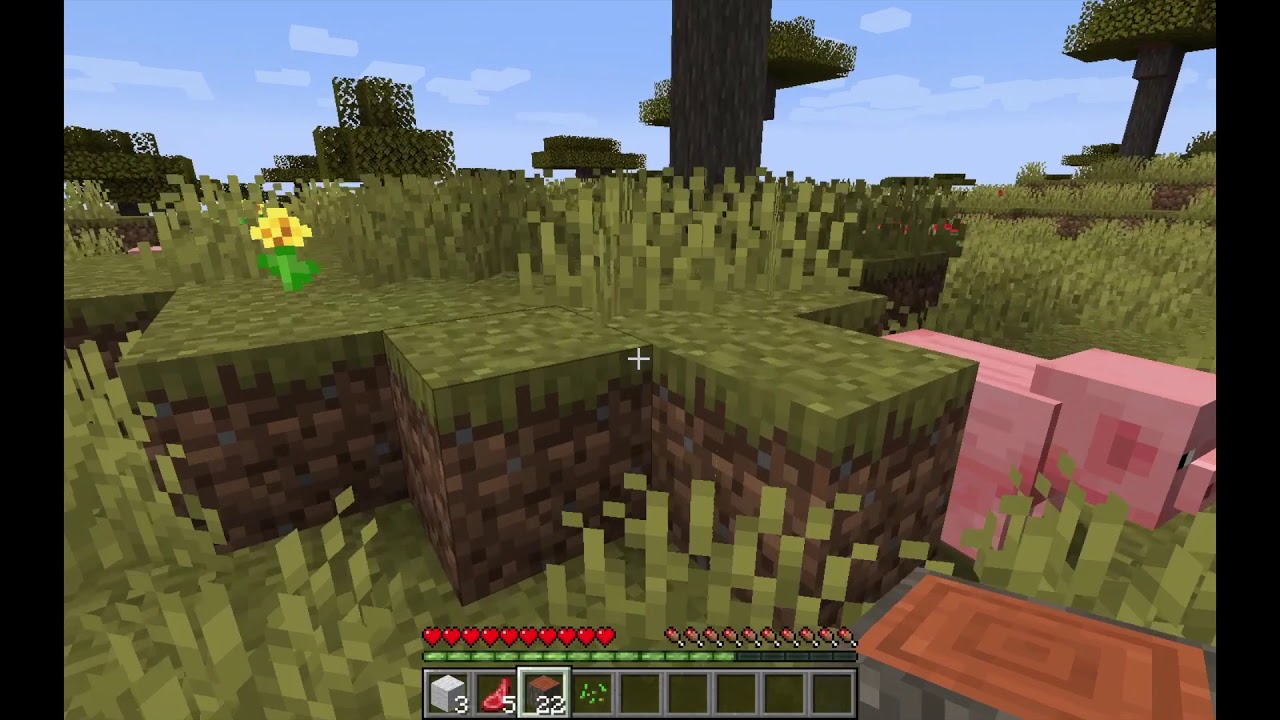 Minecraft Java - NEW BEGINNINGS!! (1) - YouTube