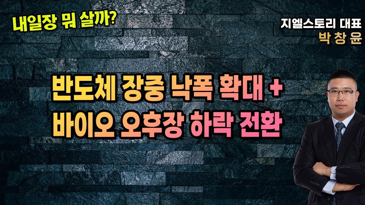 내일장 뭐 살까 금융주 강세 속 반도체 강한 장중 하락세 바이오 오후장 급락 전환 난이도 있는 시장 상황 박창윤 대표 주식 주가 투자 Youtube