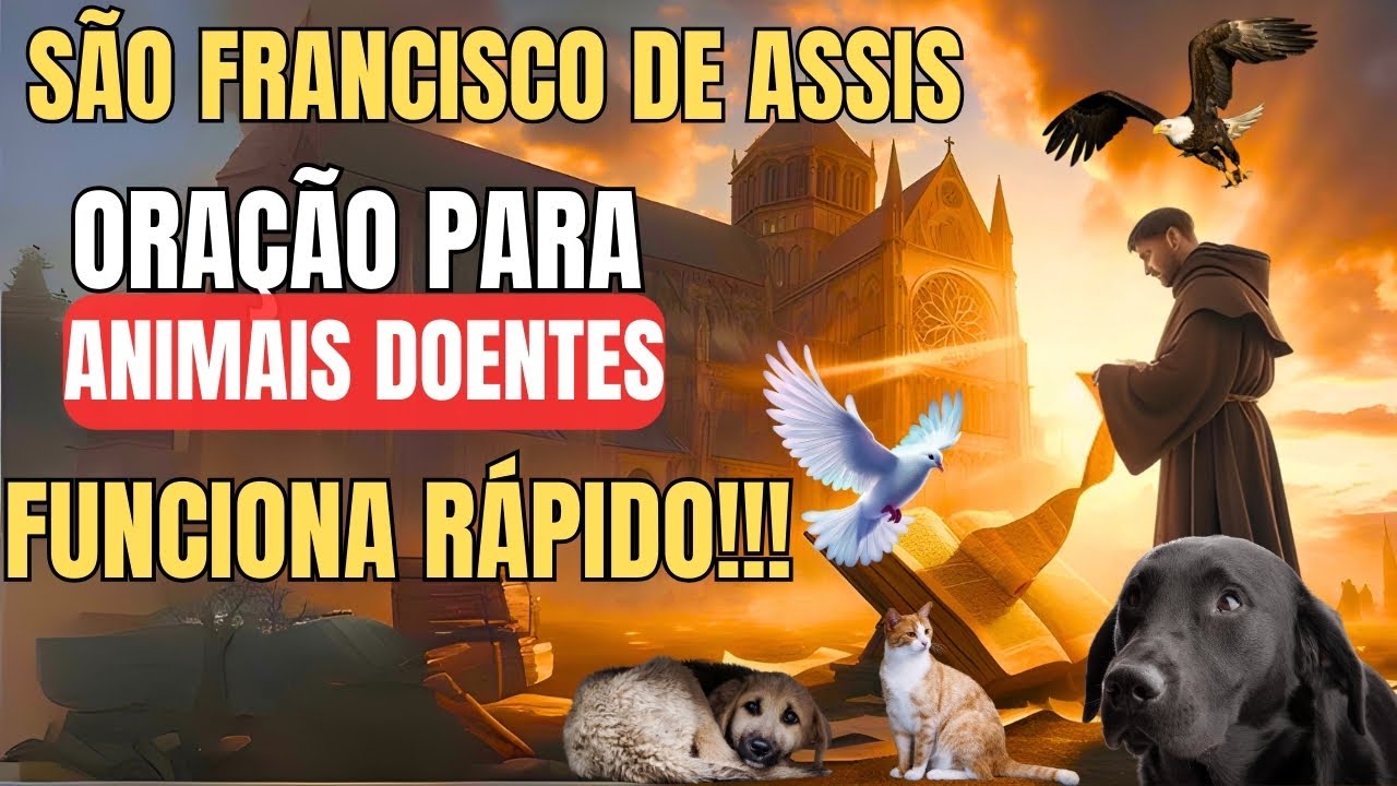 🌟 Cure seu animalzinho: Oração de São Francisco para os Animais Doentes ...