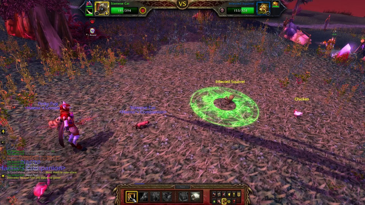 How I got an Infected Squirrel battle pet - World of Warcraft - YouTube