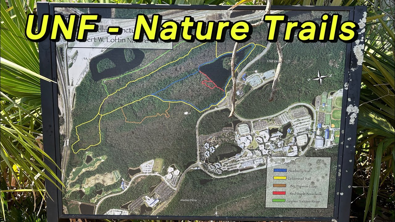 University of North Florida Nature Trails - YouTube