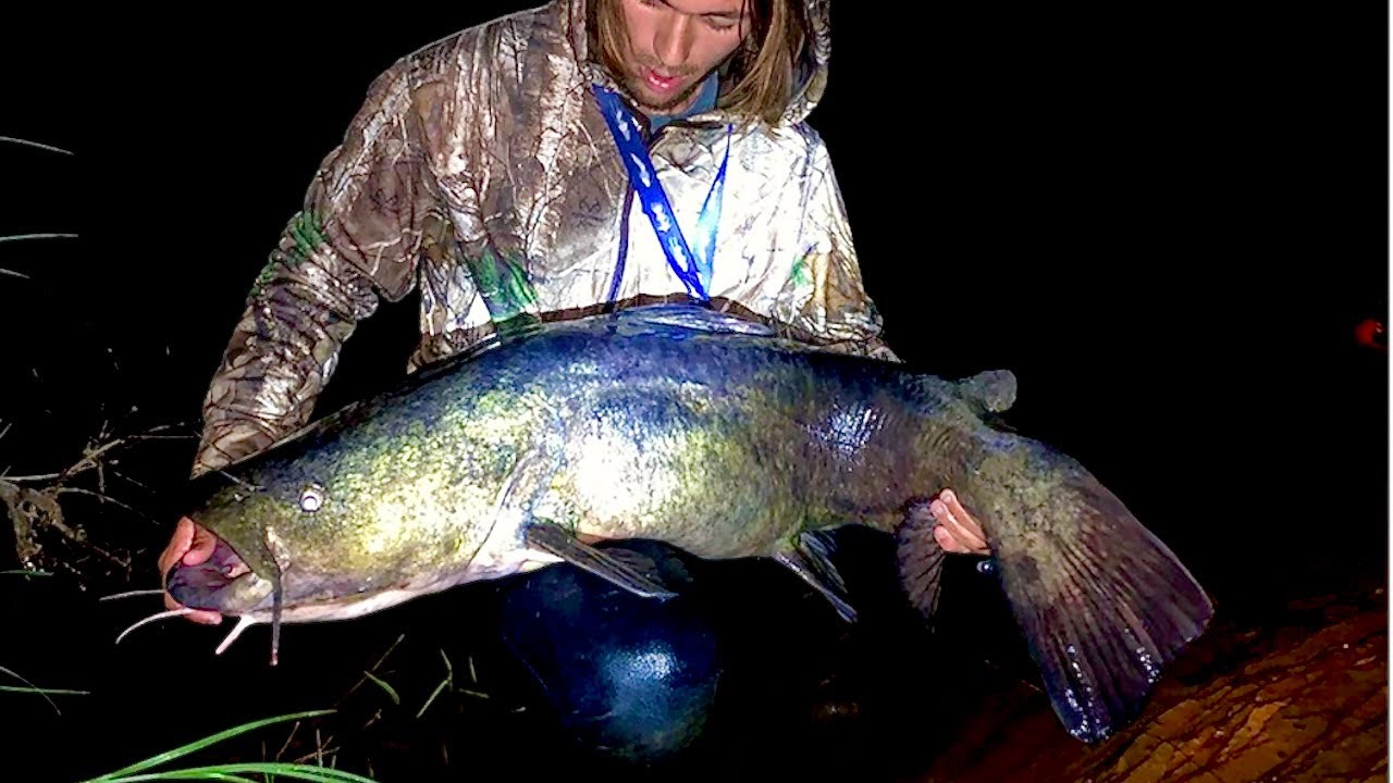 Shore Fishing for Magnum Flathead Catfish - Wisconsin 2023 - YouTube