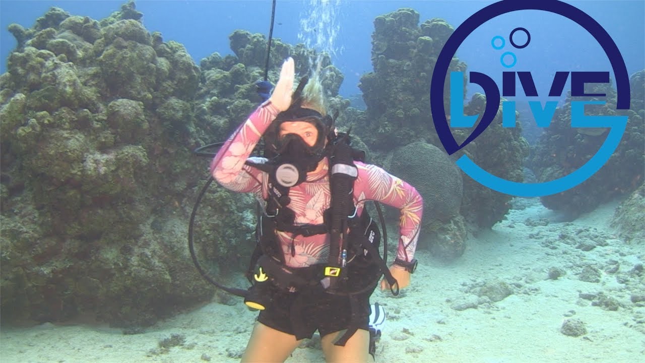 Sign language for fish - YouTube