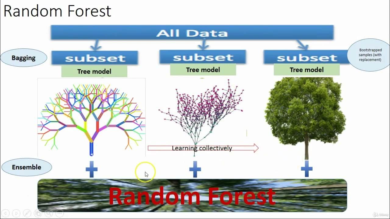 6 Random Forest - YouTube