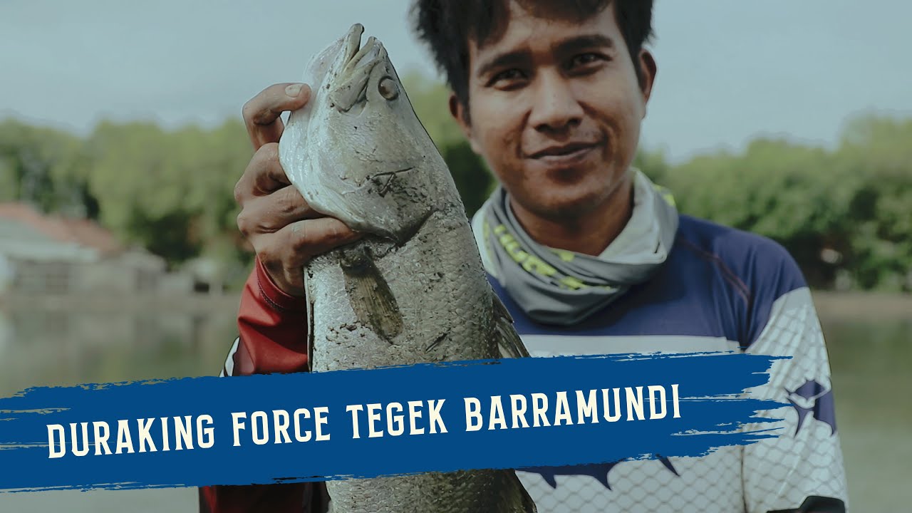 DURAKING || Mancing Barramundi Pakai Pole Rod A.k.a Joran Tegek ...