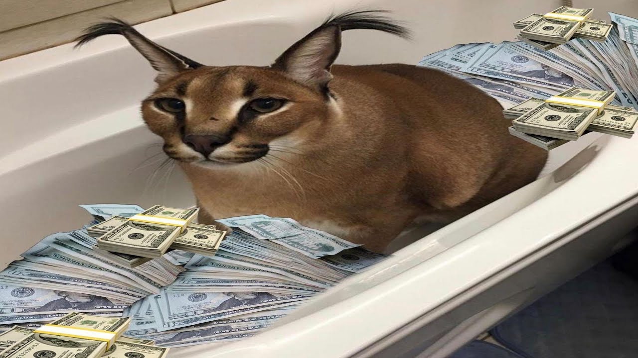 Raise a Floppa 2 Roommate Gives $1B Cash - YouTube