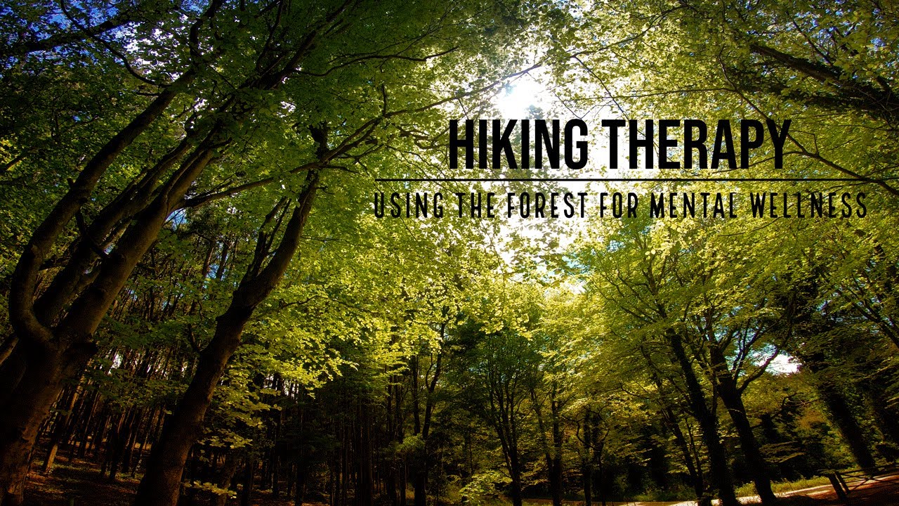 Hiking Therapy - How to use the forest for mental wellness - YouTube