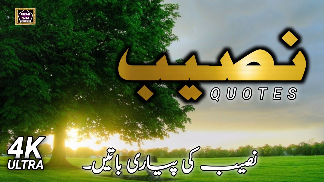 Naseeb Golden Words Beautiful Quotes || Naseeb Aqwal e Zareen || Luck ...