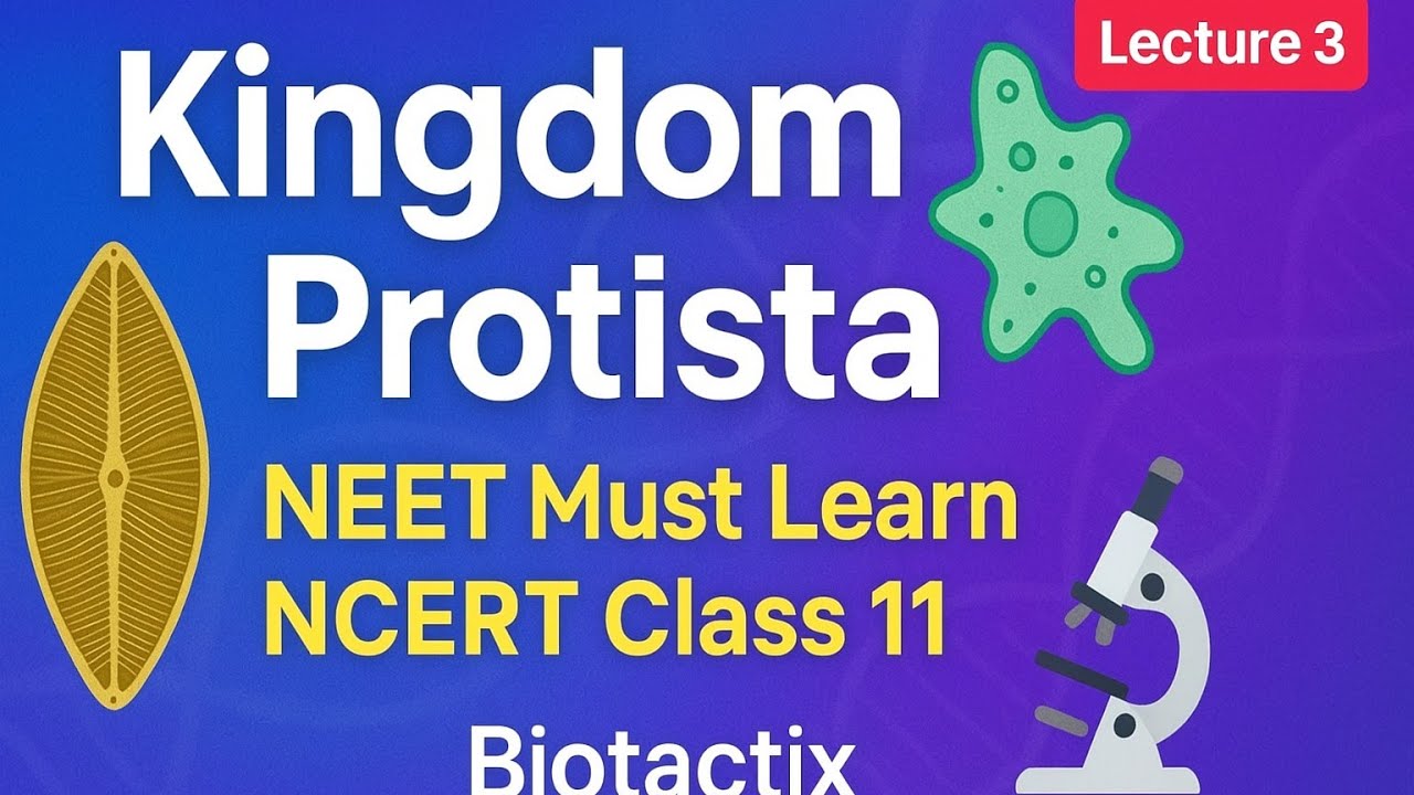 Kingdom Protista Class 11 | NEET Biology Lecture 3 | Biological ...