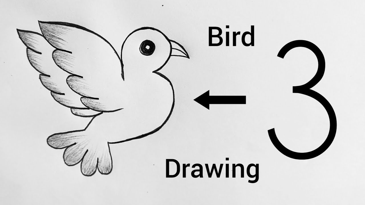 Easy bird drawing | How to Draw Cute Bird From Number 3 | Bird Drawing🐦 ...