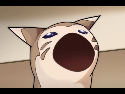 pop pop popopopopopopopopopop - YouTube