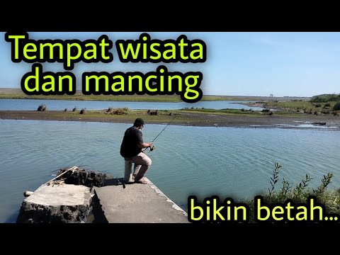 Spot Mancing Laguna Pengklik Pantai Samas - YouTube