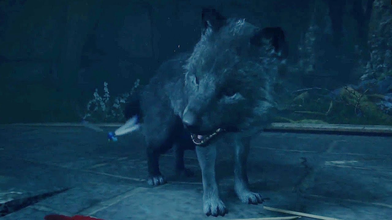 Assassin's Creed Valhalla - Fenrir as a Cub! - YouTube