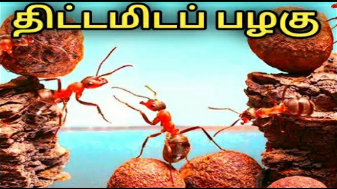 ant motivation story in tamil/any story/tamil motivation story/erumbu ...