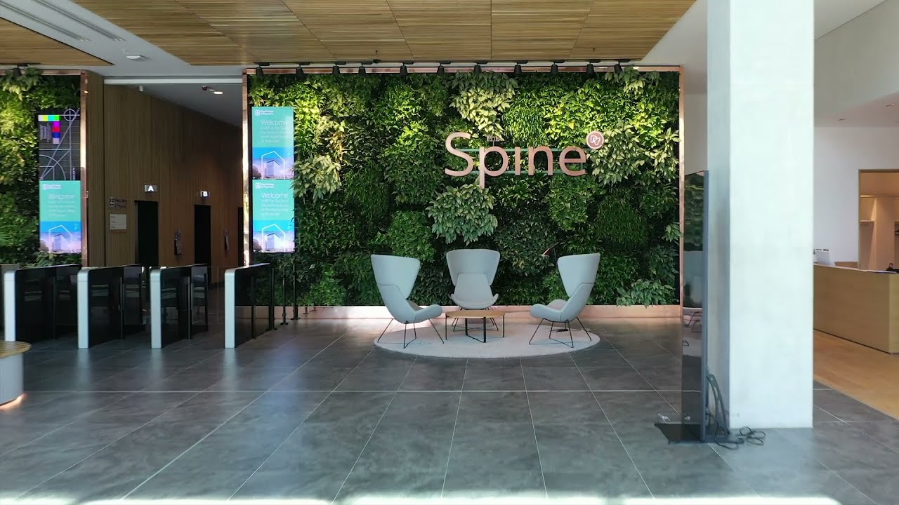 The Spine - Paddington Village - YouTube