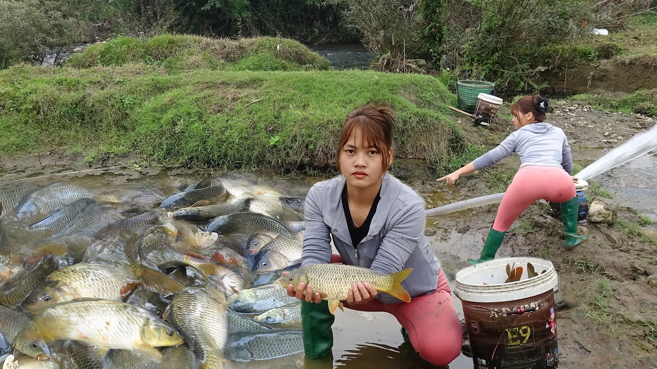 Greatest Fishing Videos: Skillfully Use The Water Pump Suction of Water ...