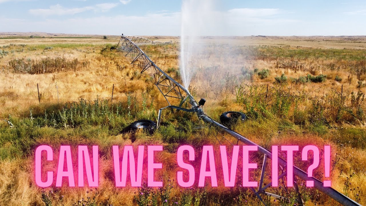 SAVING the Farm in 2025… The plan! - YouTube