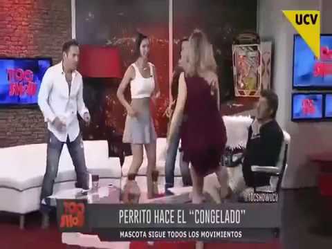 Nuevo-Toc Show Hot ★ EL BAILE DE CONGELADO Programa.mp4 - YouTube