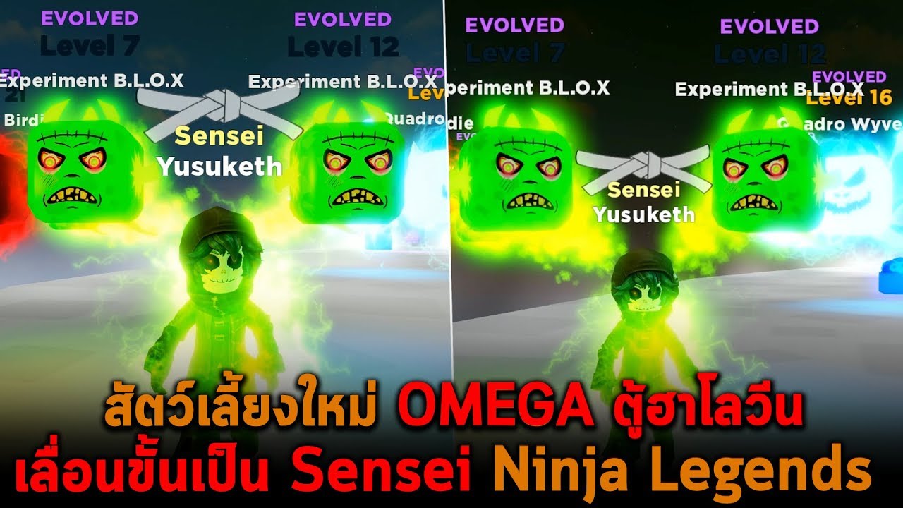 สัตว์เลี้ยงใหม่ OMEGA ตู้ฮาโลวีน เลื่อนขั้นเป็น Sensei Roblox - YouTube
