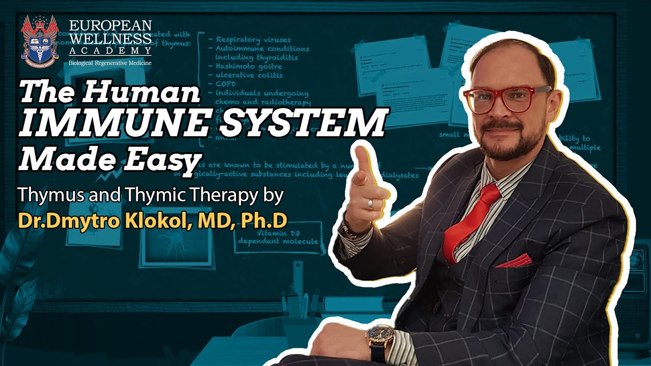 The Human Immune System Made Easy! - YouTube