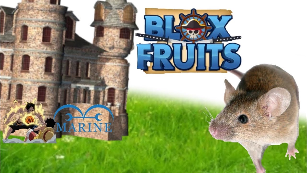 Lvl 160!!!!(mucho server hoop) Blox Fruits - YouTube