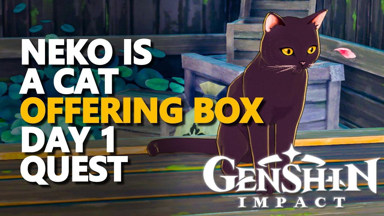 Neko Is a Cat Offering Box Genshin Impact - YouTube
