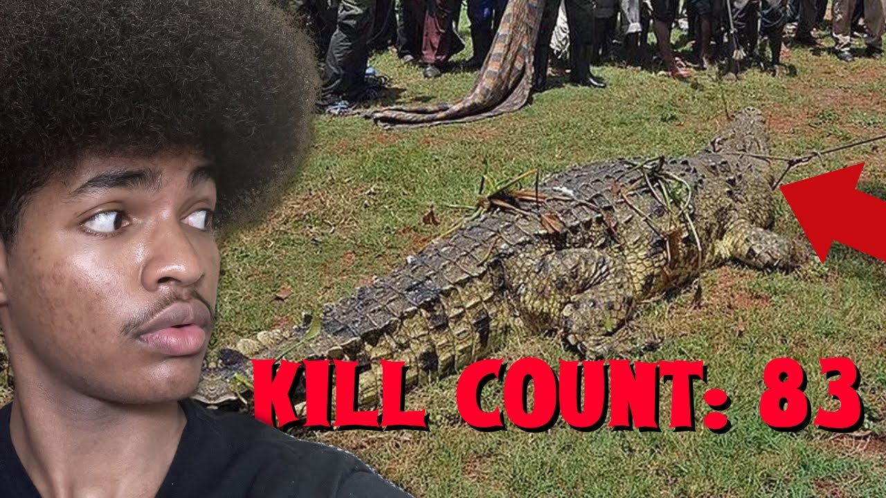 The Most Terrifying Serial Killer Animals - YouTube