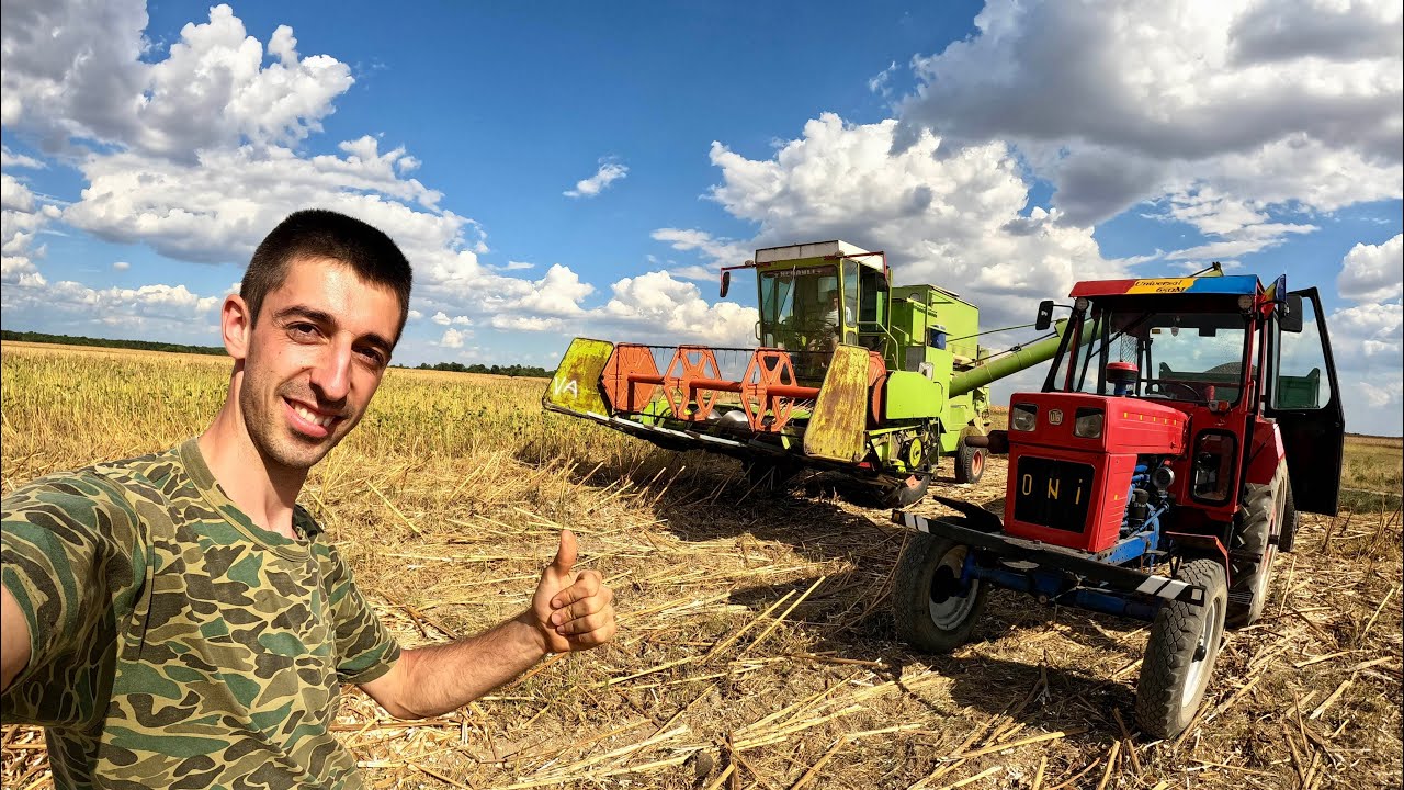 RECOLTAT FLOAREA SOARELUI + CE PRODUCTIE AM AVUT - YouTube