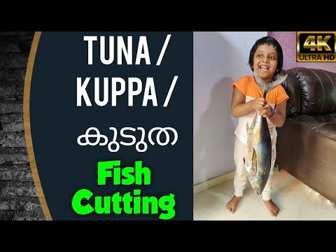 Tuna / Kuppa / കുടുത Fish Cutting Skill - Fish Series - 10 - 4K - YouTube