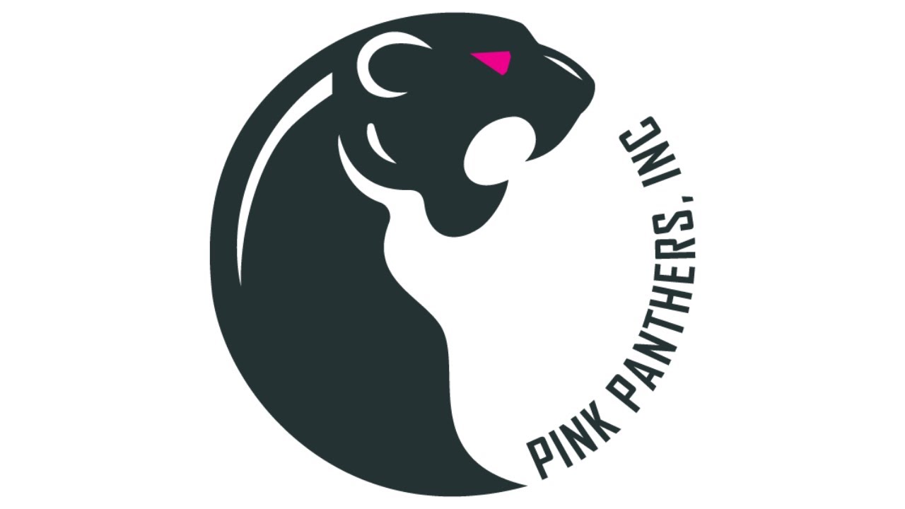 Pink Panthers, Inc. CEO: Nemanja Delic - YouTube