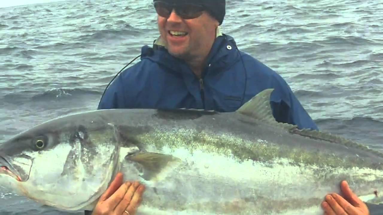Extreme fishing for 40kg yellowtail kingfish - YouTube