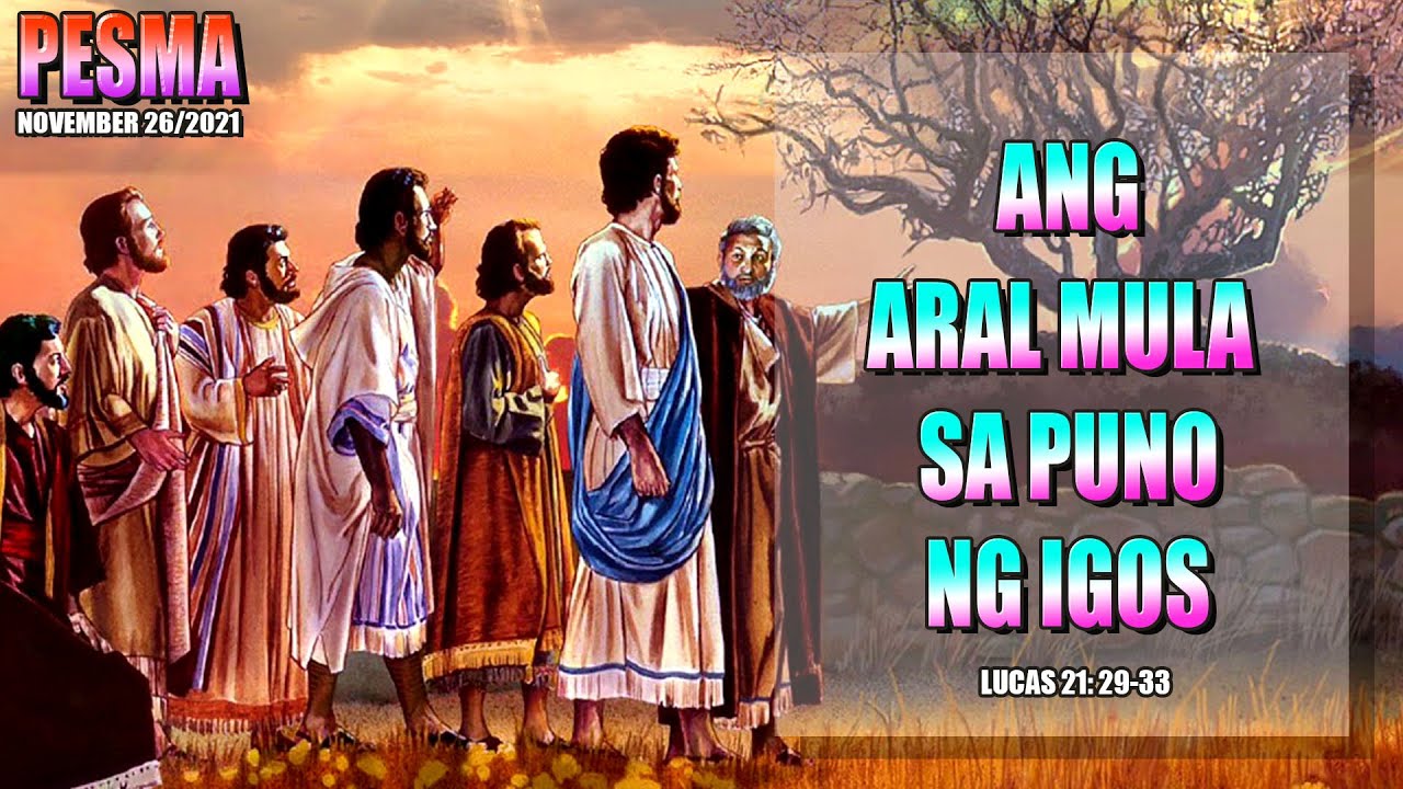Ang Aral mula sa Puno ng Igos 11/26/2021 - YouTube