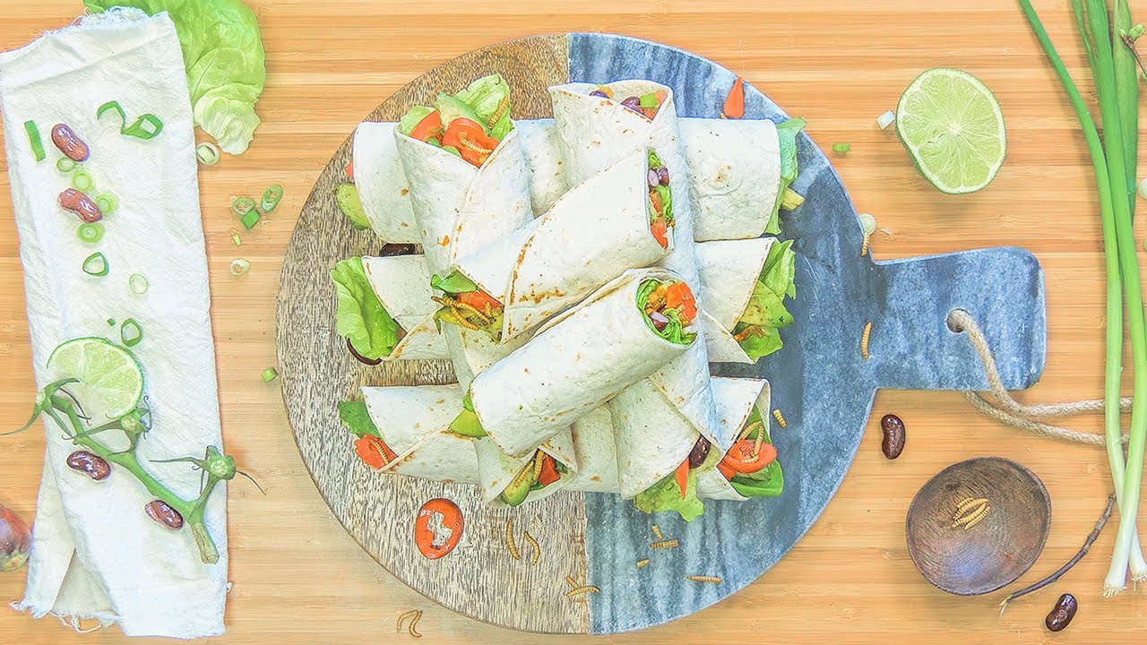 OH MY BUG, the insect recipes - Healthy mealworm & avocado wraps - YouTube