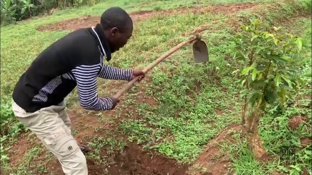 Trenching - Step 8 - YouTube