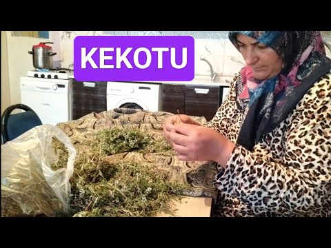 KEKOTU topladık , Ot için biçer döver çağırdık