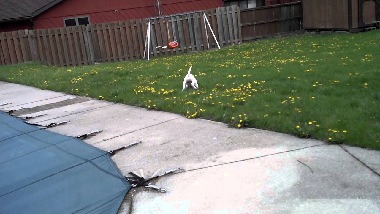 April 28, 2013 5:25 PM - YouTube