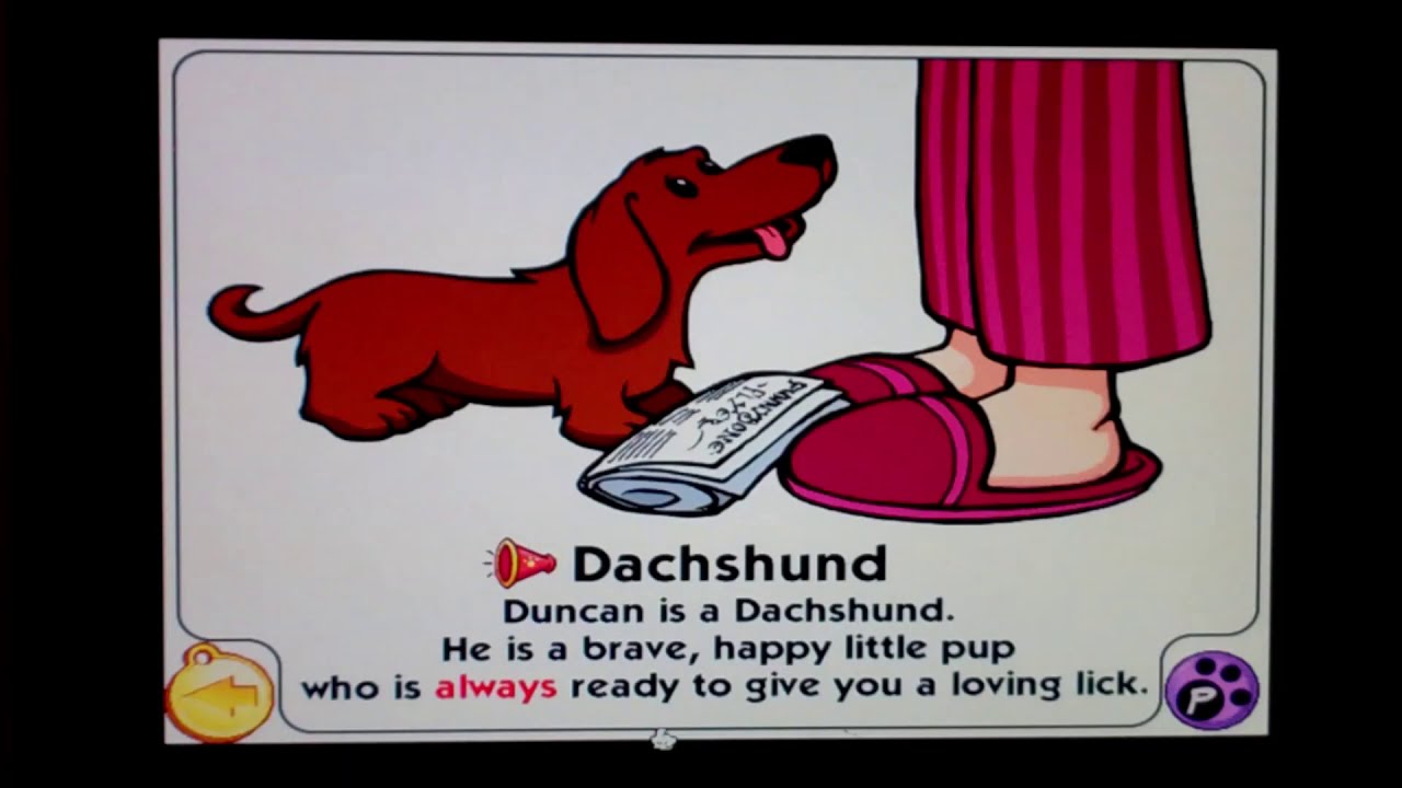 Fisher Price Time to Play Pet Shop (1996) (Duncan the Dachshund) - YouTube