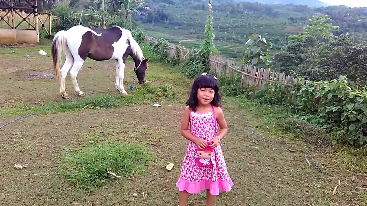 Shakila lihat kuda bag.1 - YouTube
