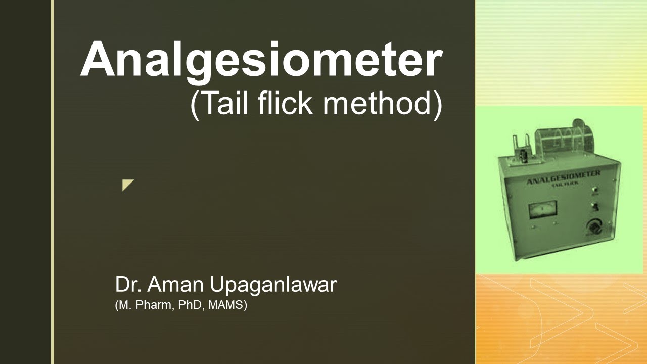 Analgesiometer (Tail Flick method) Screening of analgesic drugs - YouTube